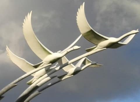 Tailtiu online English learning